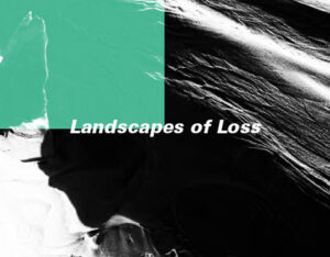 Publications - Shahar Marcus